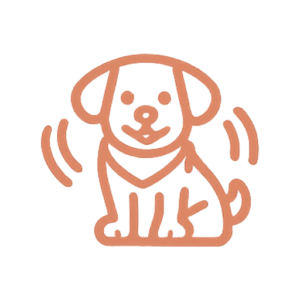 Accesorios para mascotas en Panamá | Parda